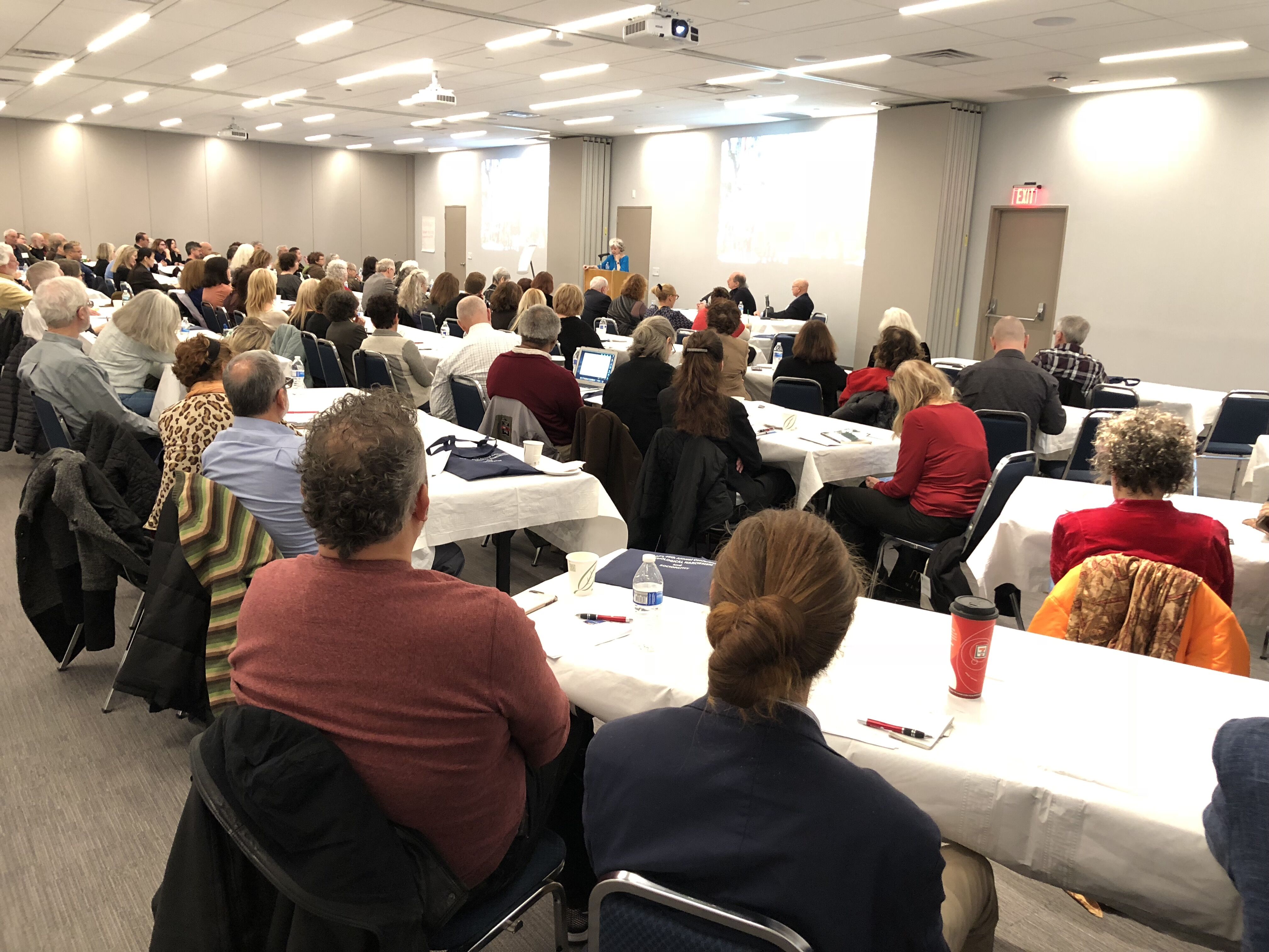 National Association for the Advancement of Psychoanalysis (NAAP ...